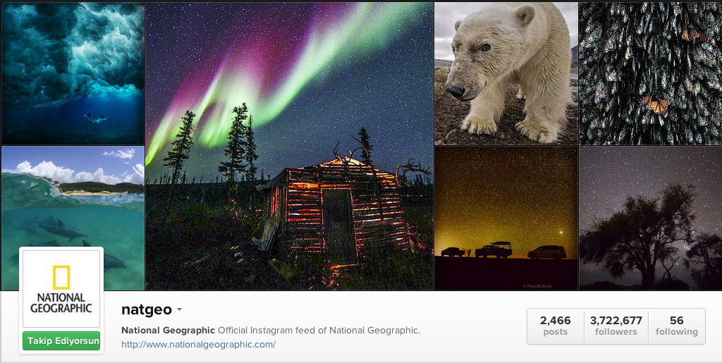 National Geographic'in Instagram'dan Paylaştığı En Beğenilen 32 ...