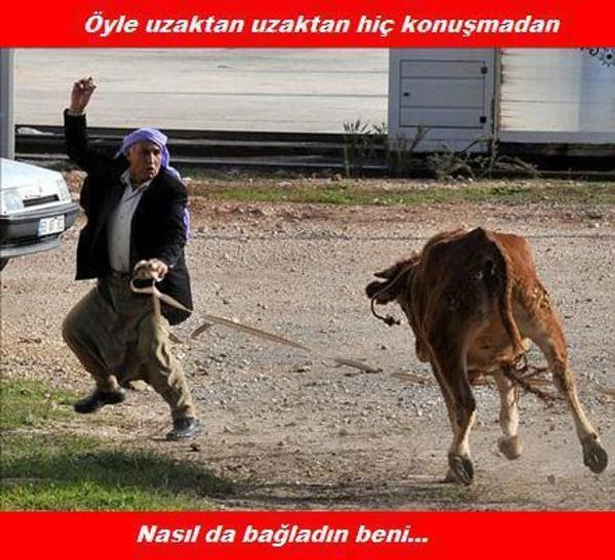 Kopma Garantili 25 Caps Gibi Caps - Onedio