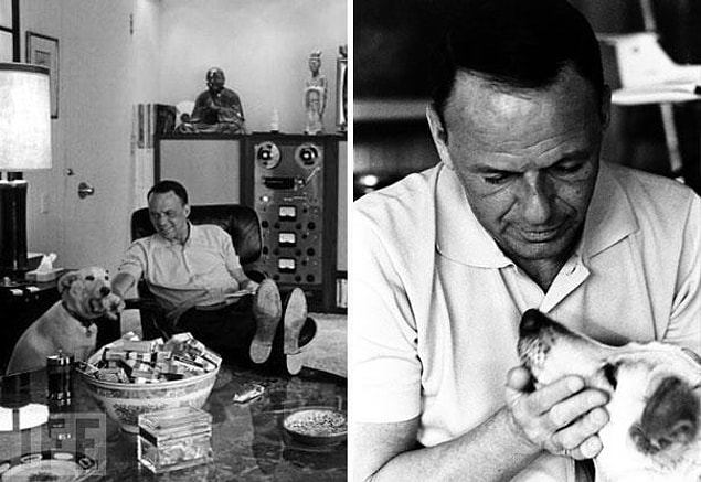 Ünlü İnsanlar ve Evcil Hayvanları