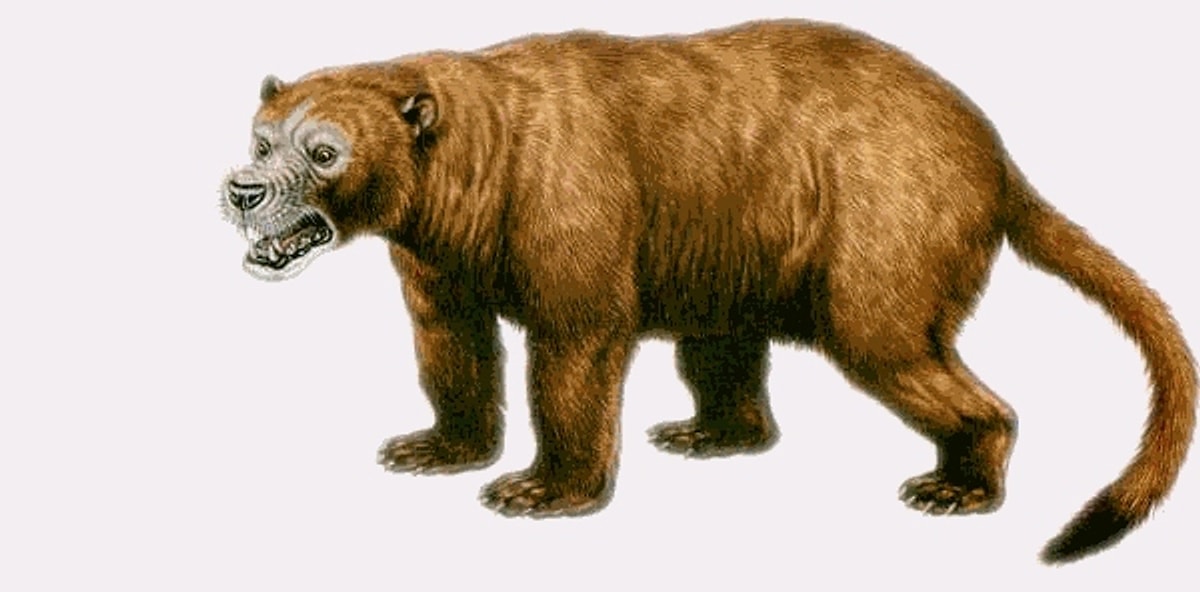 Bir Zamanlar Dünyada Cirit Atan 15 Güzelim Hayvan - Onedio