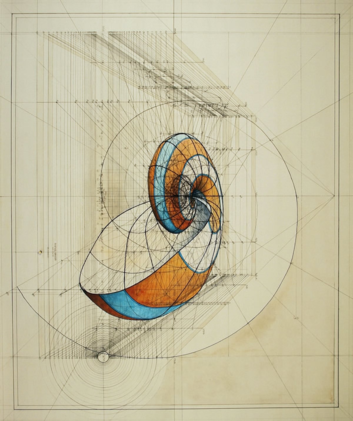 Altın Oranın ve Spiralin Karmaşık Estetiğini Gözler Önüne Seren 11 ...