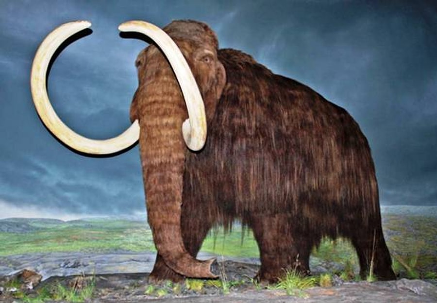 Dünya Bilim Tarihinin En Akıl Almaz 25 Sıradışı Deneyi - Onedio