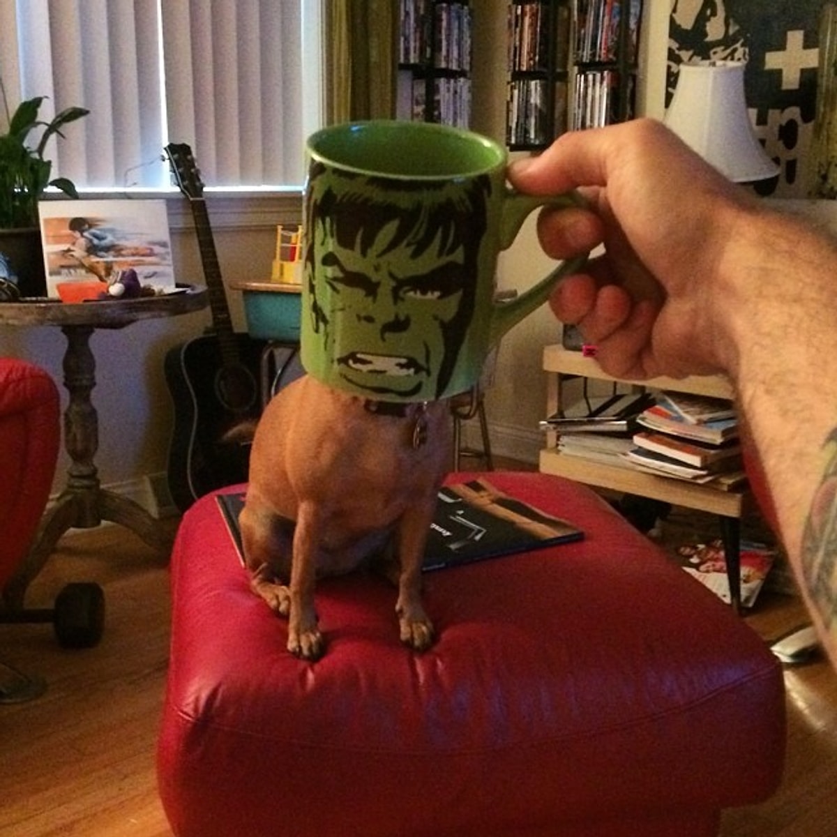Instagram'ın Yeni Trendi #BreakfastMugshot'tan En 'Cuk Oturan' 20 ...