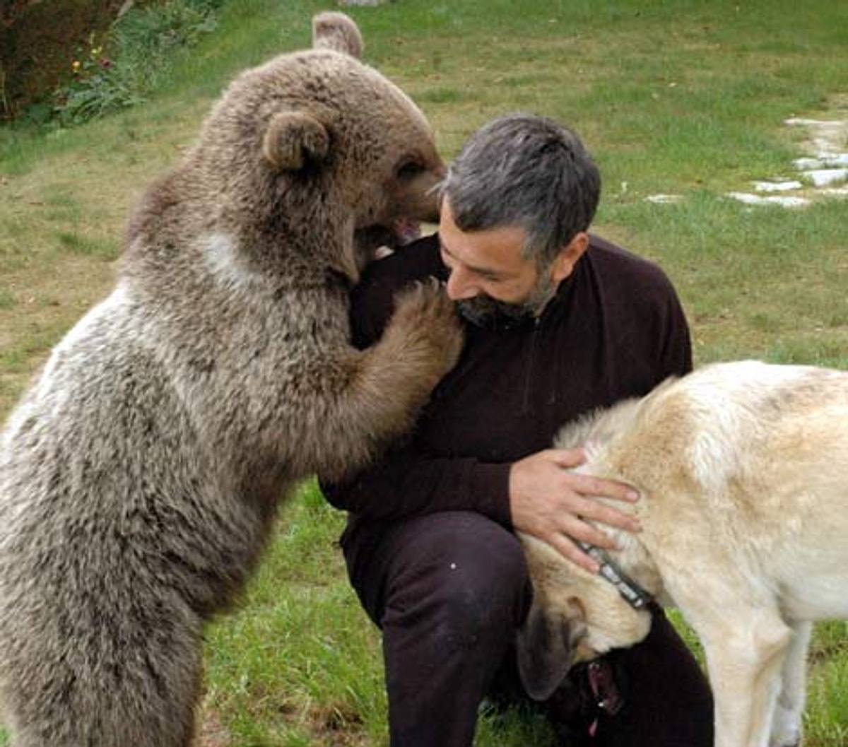 Ayılara Fısıldayan Efsanevi Adam: Datvi'nin Babası Cemal Gülas - Onedio