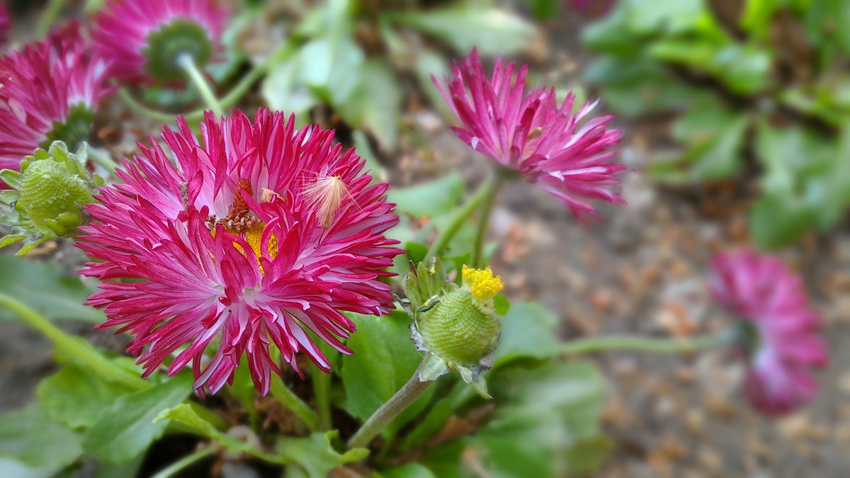 Telefonla Çekildiğine İnanamayacağınız 10 Muhteşem Fotoğraf - Onedio
