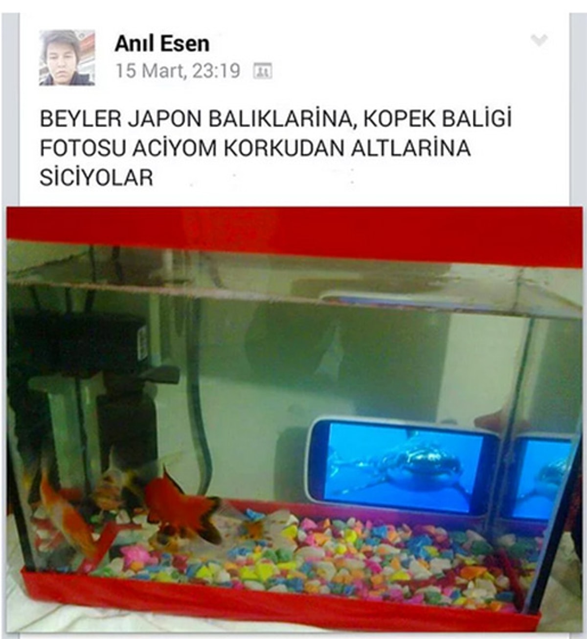 İşsizlik Müessesine Yeni Bir Boyut Kazandırmış 18 Komik İşsizlik Örneği - Onedio