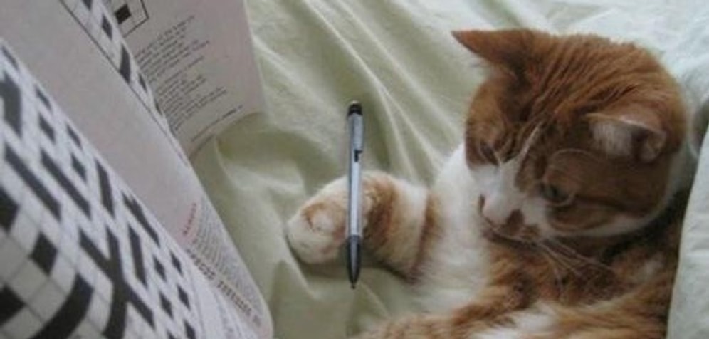 Onedio Özel Sayfa 1193 | Onedio - Sosyal İçerik Platformu