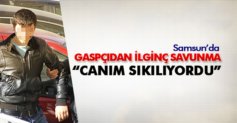 Polisler Tarafından Enselenince Tuhaf Savunmalar Yapan 27 Kişi - Onedio