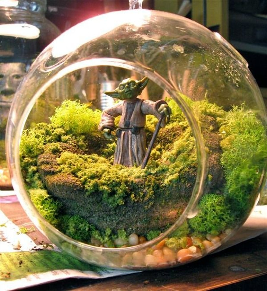 Başka Bir Dünya Mümkün: 30 Görselle Yeni Sevdamız 'Terrarium' - Onedio