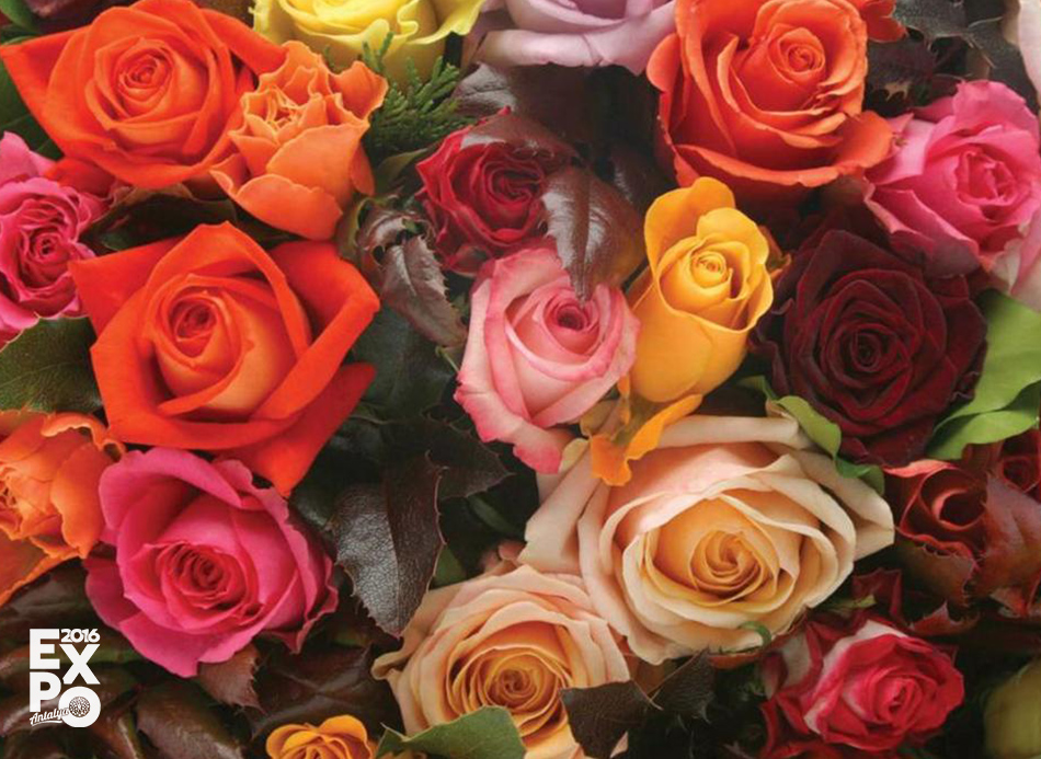 Çiçekler Hakkında 10 İlginç Bilgi - onedio.com