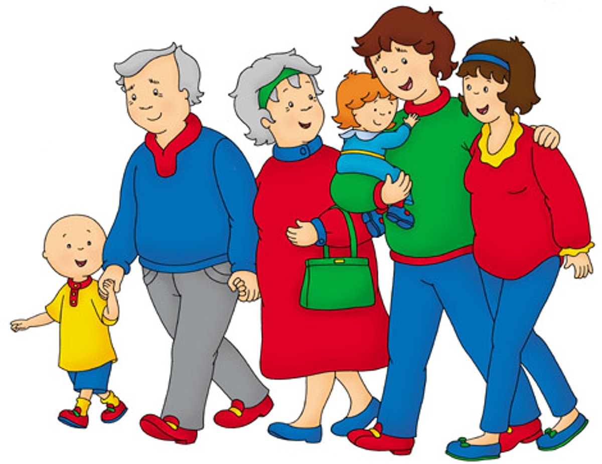 15 Answers Revealing The Truth About Caillou's Father!