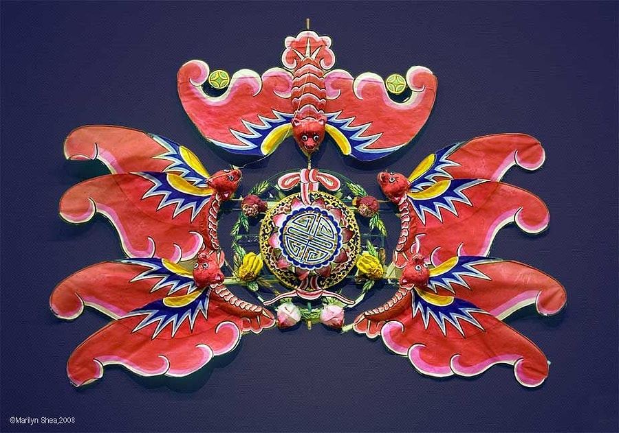 Yarasalar Hakkında Muhtemelen İlk Kez Duyacağınız 15 Enteresan Bilgi ...