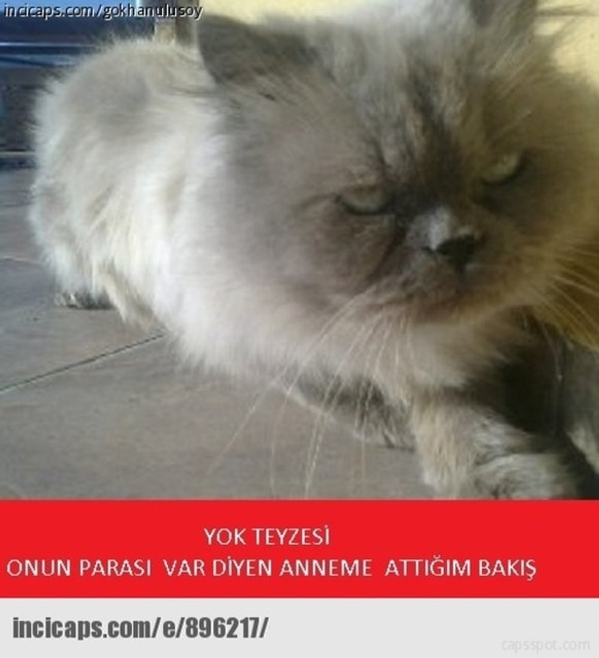 Ramazan Bayramına Özel Ev Baklavası Tadında 23 Komik Caps - Onedio