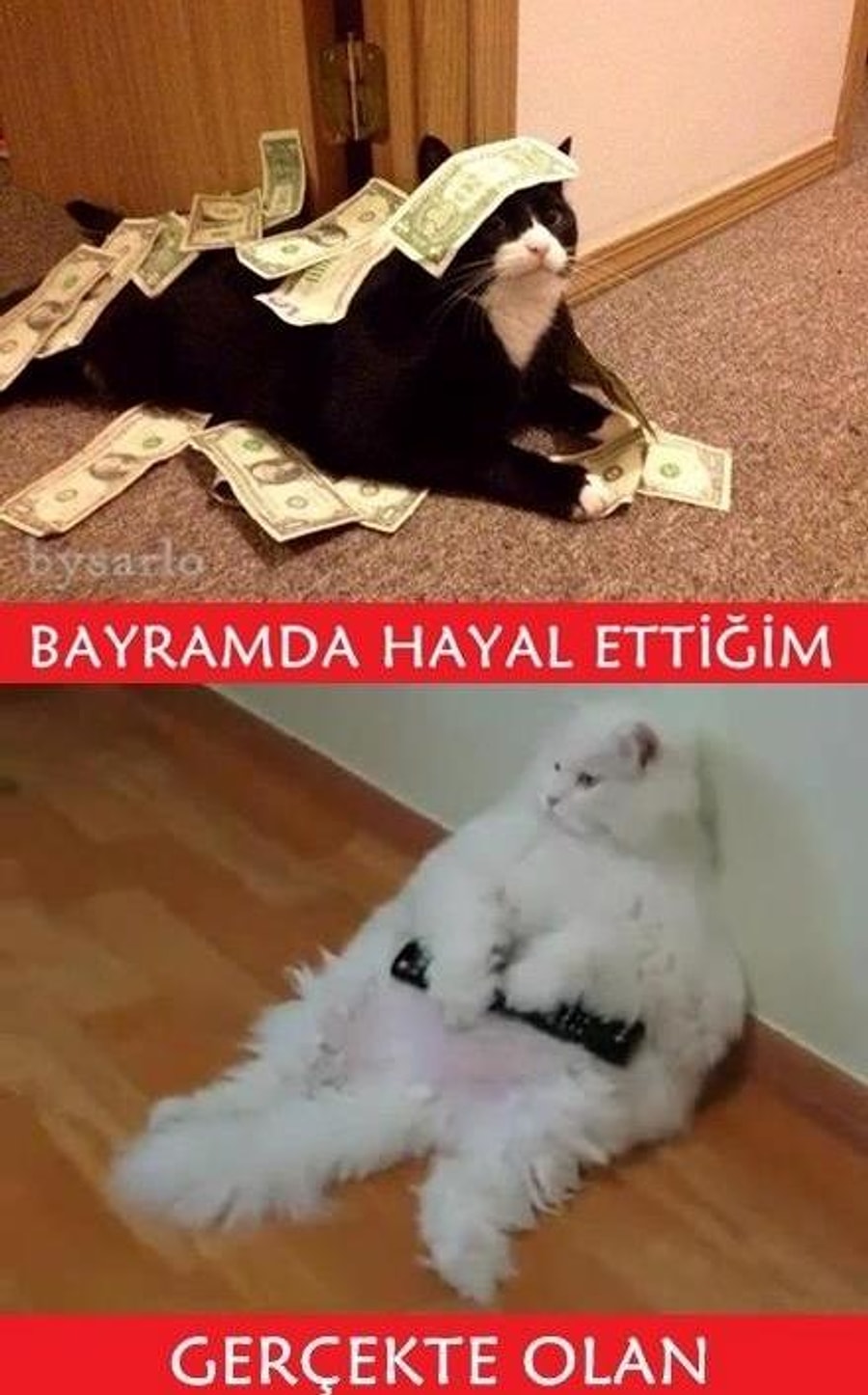 Ramazan Bayramına Özel Ev Baklavası Tadında 23 Komik Caps - Onedio