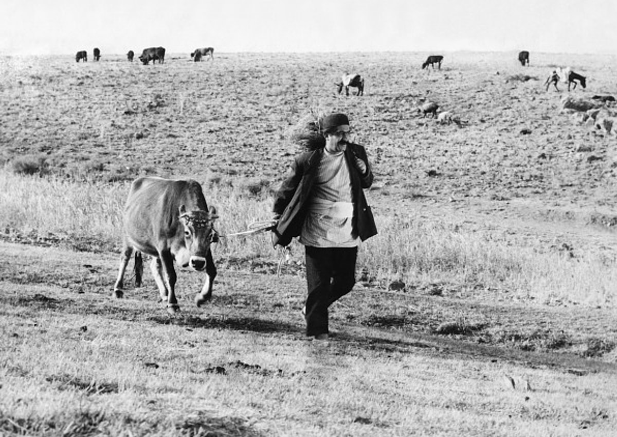 40 Of The Greatest Iranian Movies You Should See - Onedio
