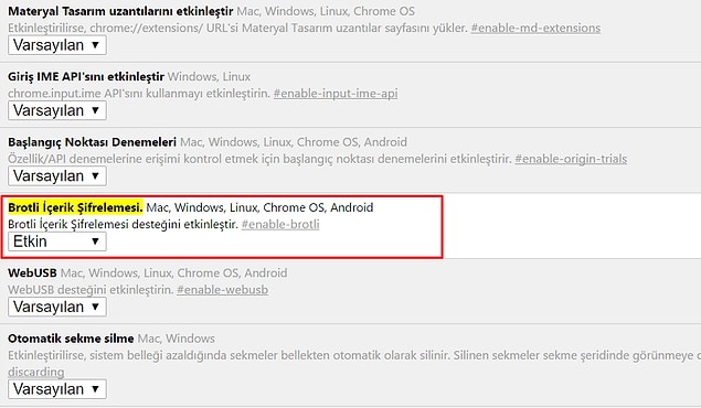 Google Chrome'u Hız ve Performans Konusunda Daha da İleriye Taşıyacak ...