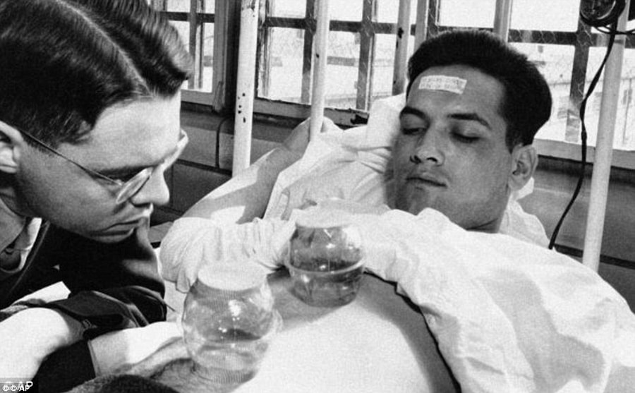 10 Of The Most Disturbing And Weird Science Experiments Ever Conducted ...