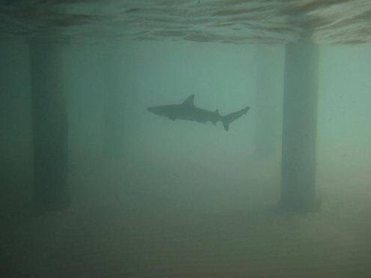 20 Photos To Instantly Awaken Your Inner Thalassophobia! - Onedio