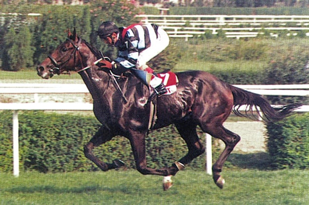 Onun Gibisi Gelmedi! Rekoru Kırılamayan Efsane At: Bold Pilot