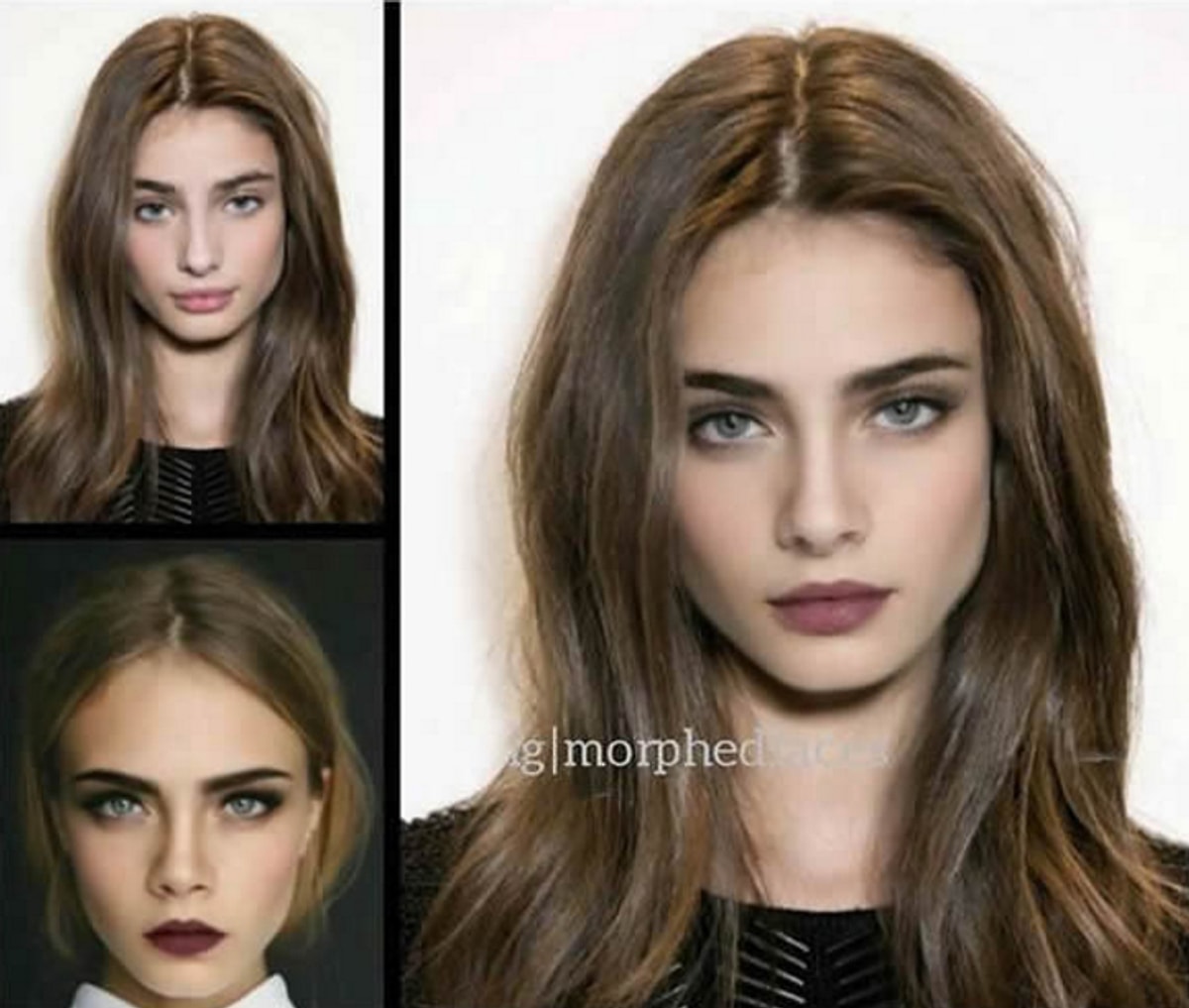 22 Hybrid Celebrities Who Still Look Great After A Face Morph! - Onedio