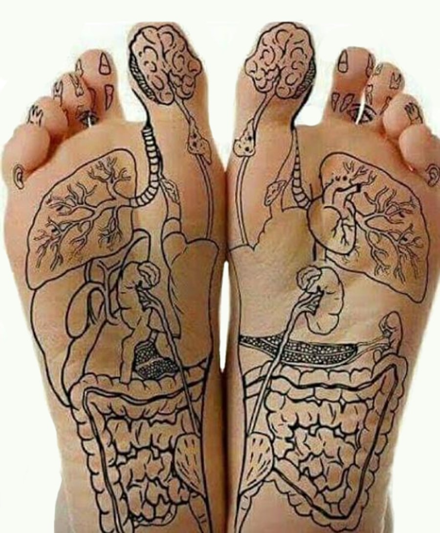 Your Foot Has The Full Map Of Your Body And Here Is How To Read It - Onedio