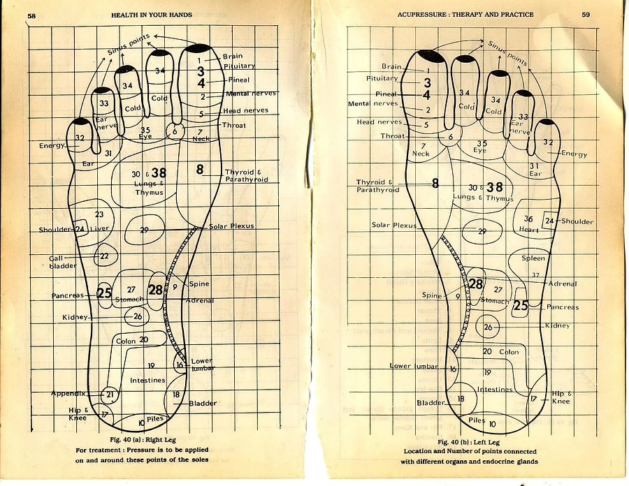 Your Foot Has The Full Map Of Your Body And Here Is How To Read It - Onedio