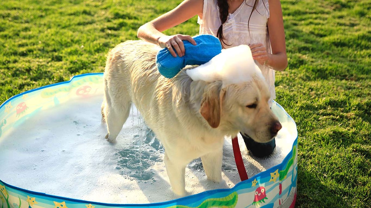 Bir An Evvel Ülkemizde de Uygulansın! Başka Ülkelerde Var Olan 16 ...