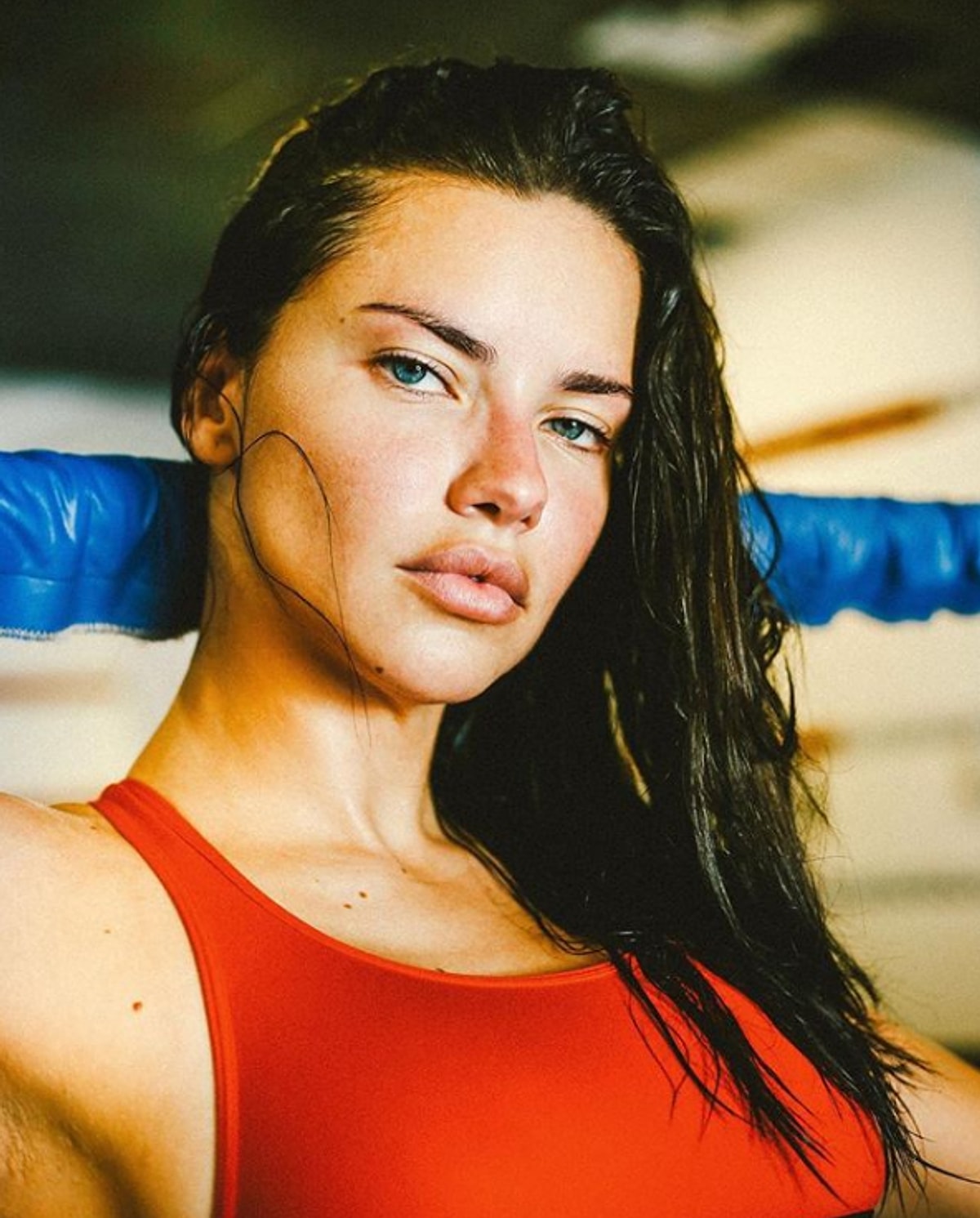 Irklar Karışınca Ne Kadar Muazzam Sonuçlar Doğduğunu Gösteren 26 Melez ...