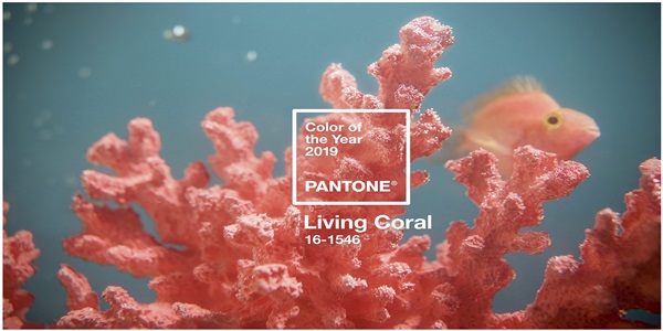 2019 Yılının Rengi Belli Oldu: Canlı Mercan Rengi! - Onedio