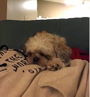 Görünmesi Gerekenden Farklı Bir Hale Gelip Gerçeklik Algımızı Altüst ...