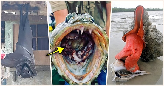 Teknoloji Sayfa 710 | Onedio - Sosyal İçerik Platformu