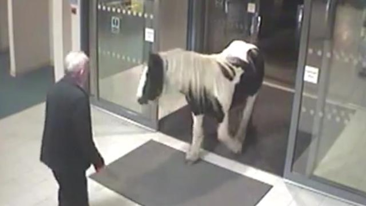 Hayatınıza Bir Güvenlik Kamerası Olarak Devam Etseniz Muhtemelen ...