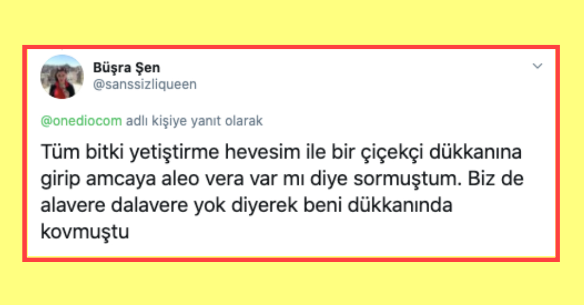 Tanımadıkları İnsanlarla Yaşadıkları Tuhaf Olaylarla Absürt Komedi ...