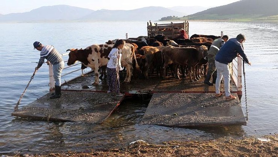 Türkiye'de Koronavirüs'ün Uğramadığı Tek Yer Mada Adası! Adadaki ...