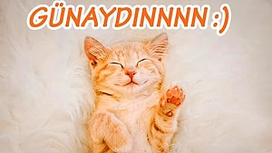 Resimli, Yeni, Kısa ve Anlamlı Günaydın Mesajları: Aile, Arkadaş ve ...