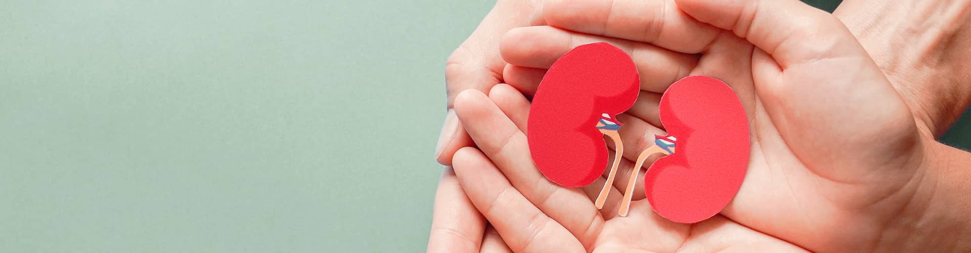 Nefrit Nedir, Belirtileri Nelerdir? Nefrit Tanı ve Tedavisi… - Onedio