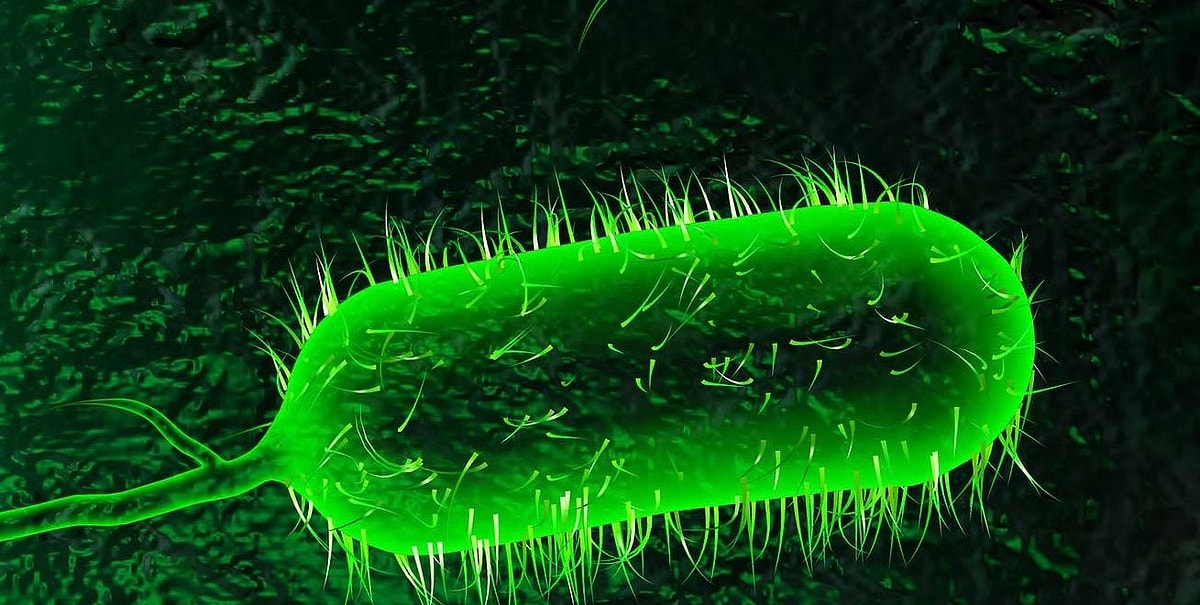 Kolera Hastalığı Nedir, Belirtileri Nelerdir? Teşhis ve Tedavisi Nasıl ...