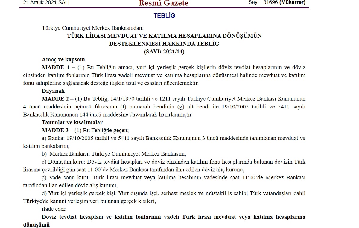 TL'ye Dönüş Halinde Sağlanacak Desteğin Şartları Açıklandı - Onedio