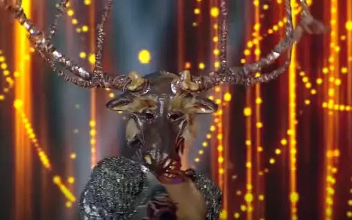 Maske Kimsin Sen "Geyik" Kimdir? Geyik Maskesinin Altındaki Ünlü Oyuncu ...