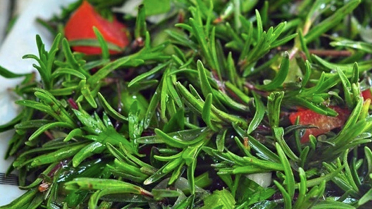 Zahter Nedir? Zahterin Vücuda Yararları ve Zararları - Onedio