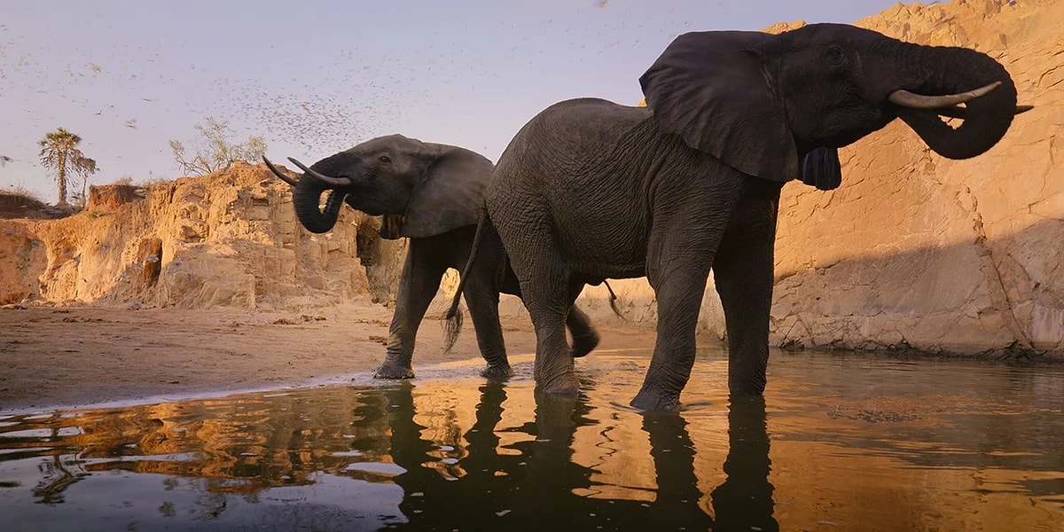 Nature Docu-Series Narrated by Pres. Barack Obama ‘Our Great National ...