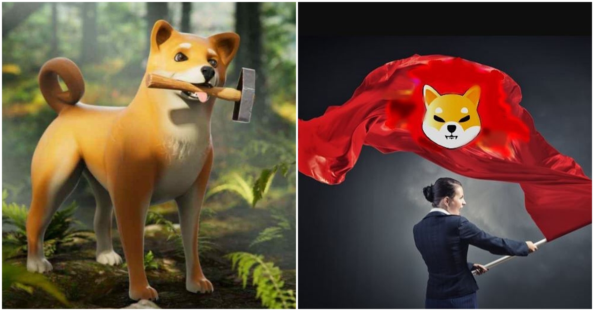 Shiba Inu Metaverse Evrenine Adım Atıyor! - Onedio