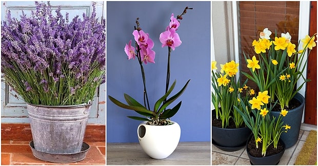 Çerkesler Hakkında Bilmeniz Gereken 10 Şey