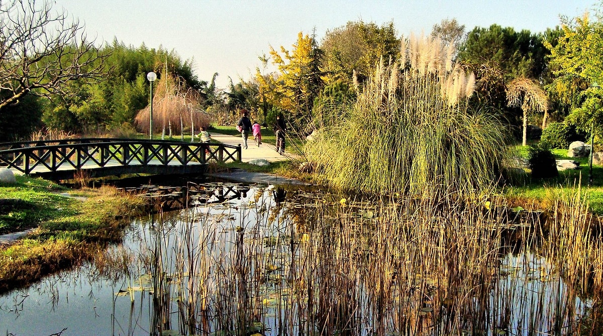 Soğanlı Botanik Parkı Gezi Rehberi: 600'den Fazla Bitki Türüyle Bursa ...