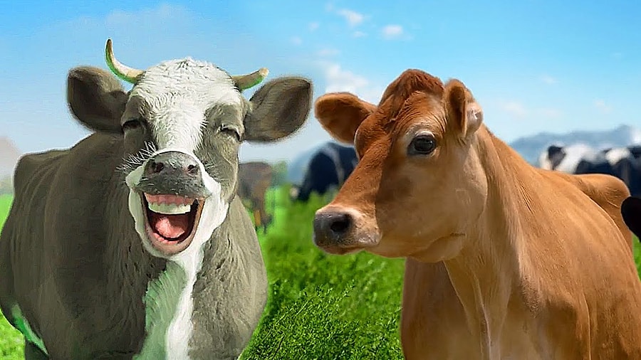 30 of the Best Two-Line Funny Jokes That Will Make You Laugh - Onedio