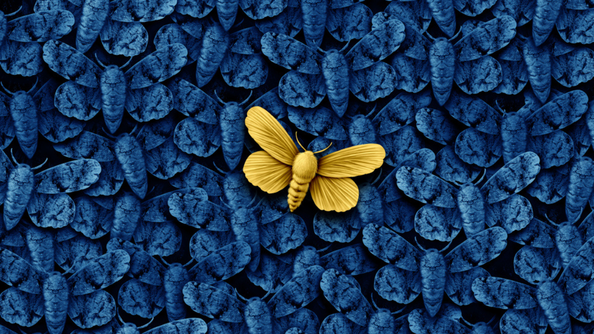 Mutluluk ve Mutluluğun Önündeki Engeller - 2 - Onedio