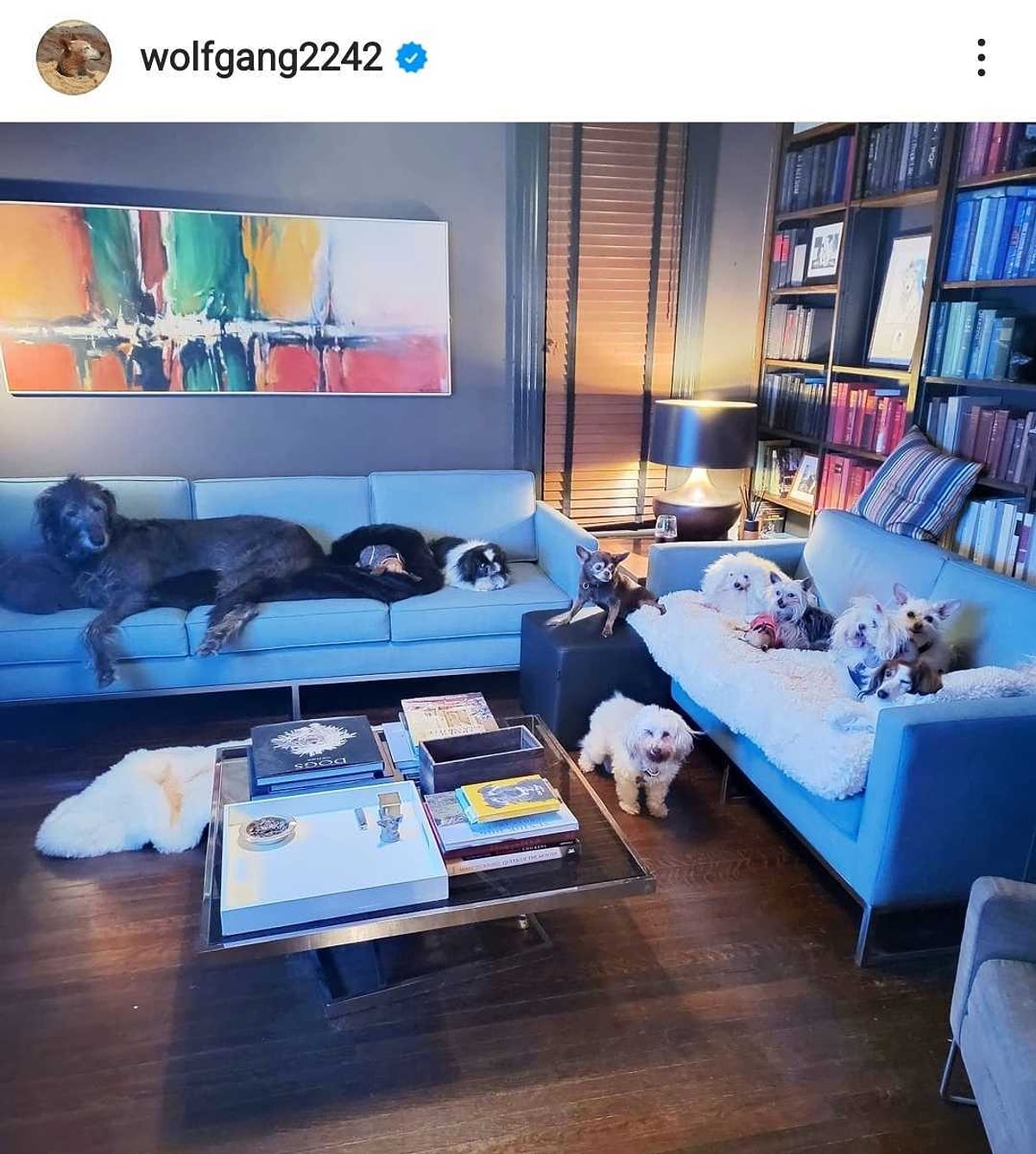 20 Hayvana Ev Sahipliği Steve Greig'in Hikayesi - Onedio