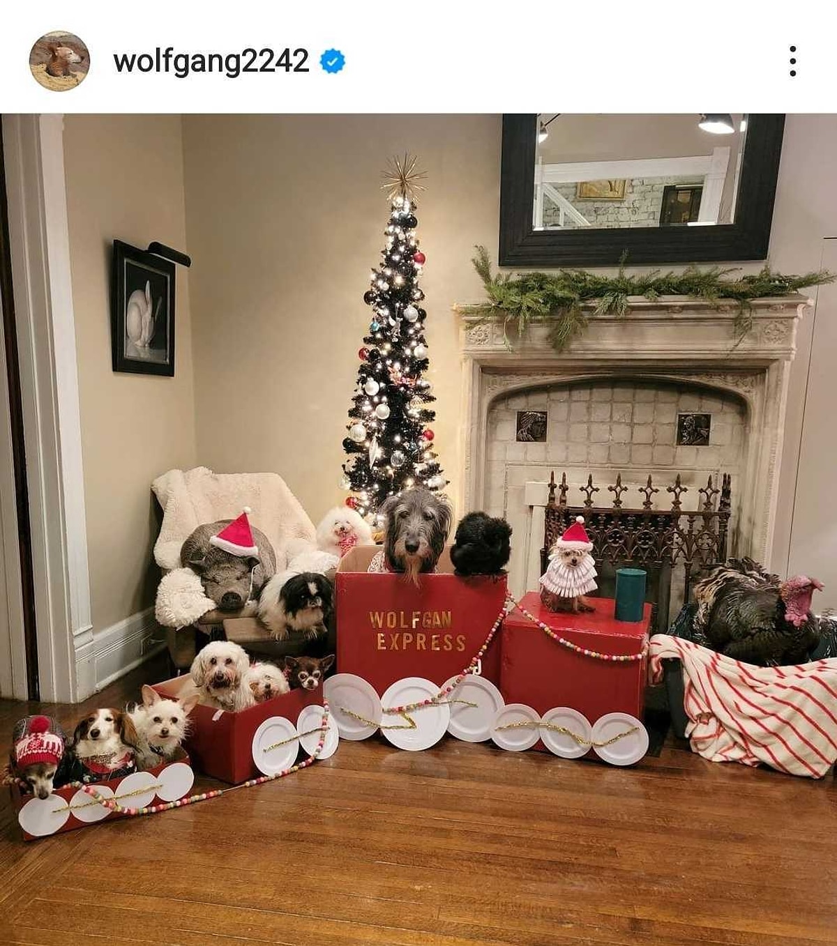 20 Hayvana Ev Sahipliği Steve Greig'in Hikayesi - Onedio