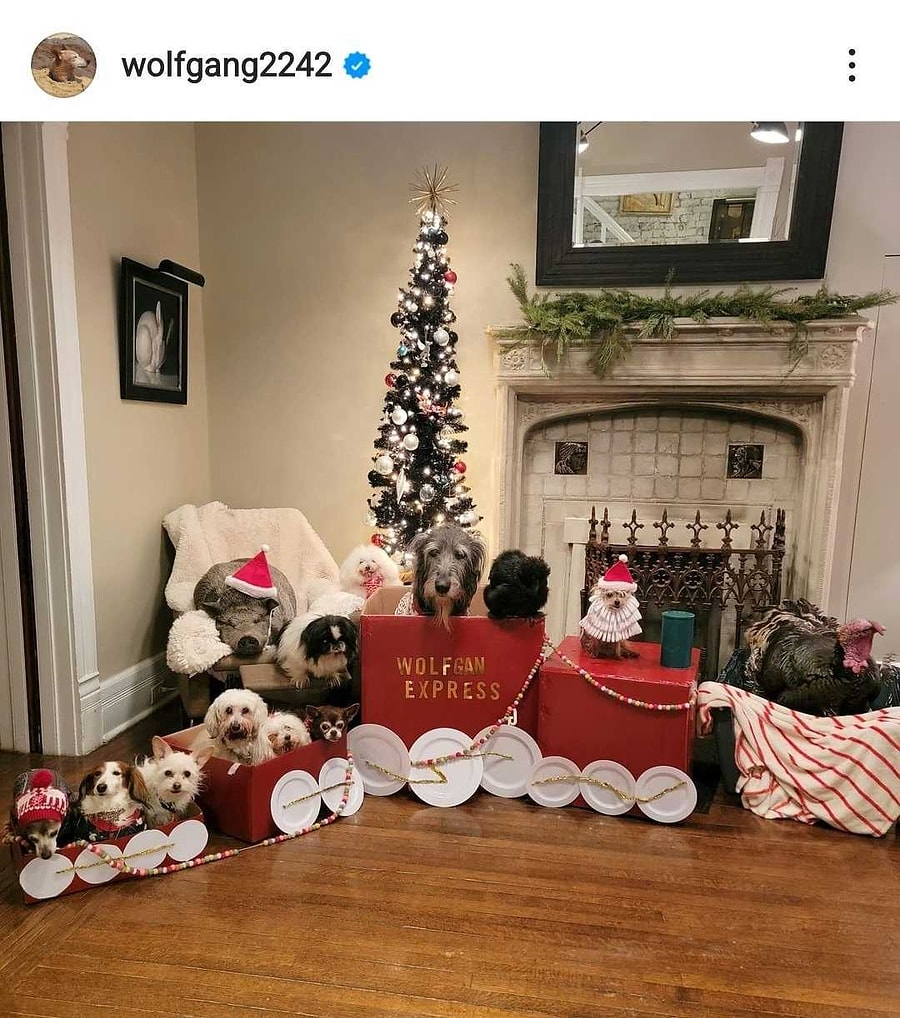 20 Hayvana Ev Sahipliği Steve Greig'in Hikayesi - Onedio