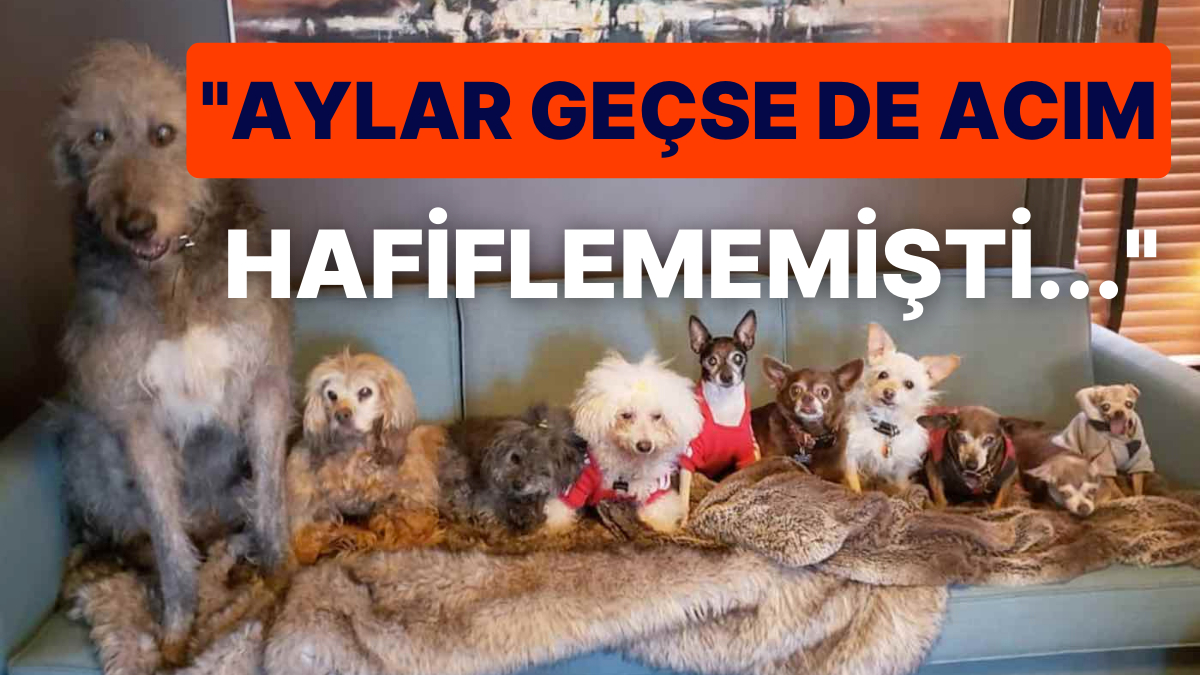 20 Hayvana Ev Sahipliği Steve Greig'in Hikayesi - Onedio